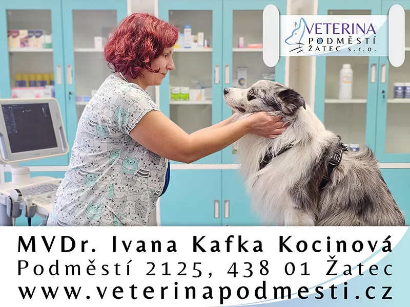 VETERINA • Veterina Podměstí Žatec